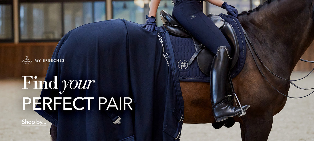 Explore Our Ladies Riding Breeches – My Breeches